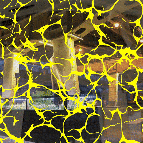 #15 Design Justice w/ Quilian Riano from Failed Architecture on Hark